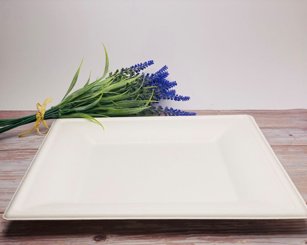 White Square Sugarcane Plate (Large) - %Eco Party%